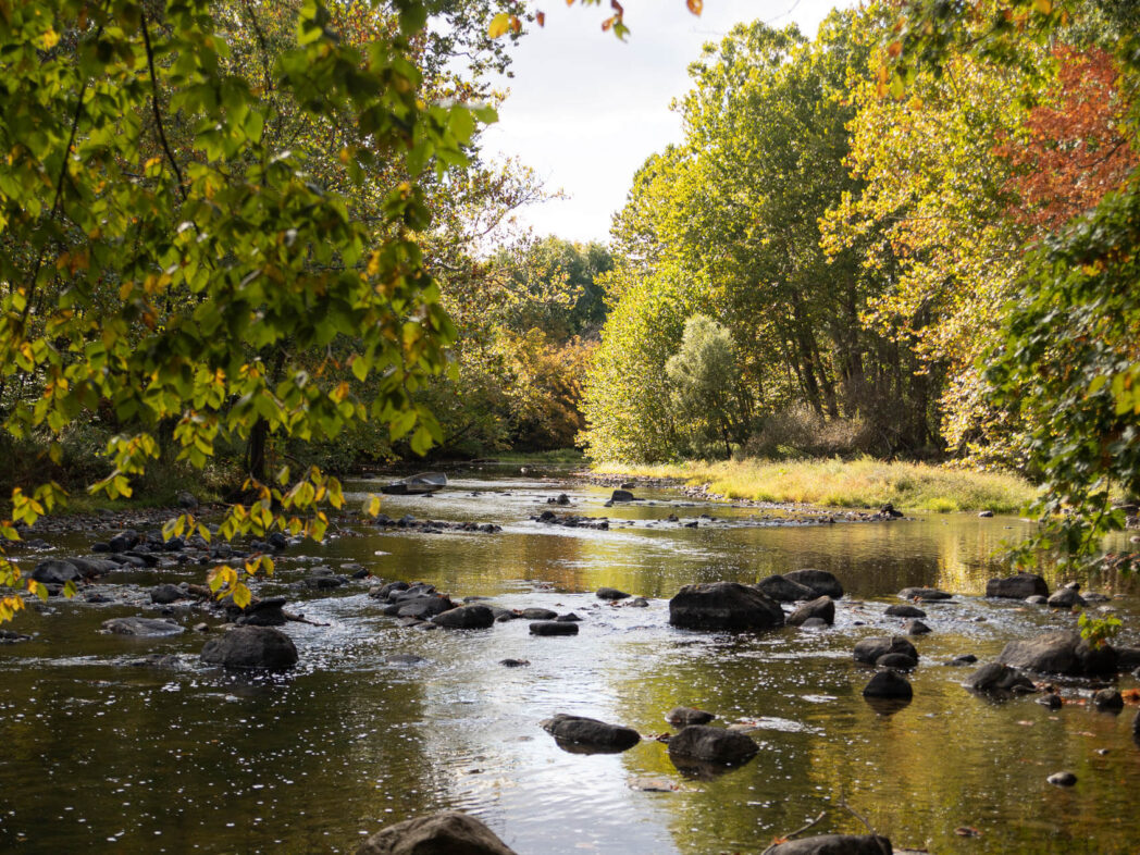 Best waterfront camping in the Catskills